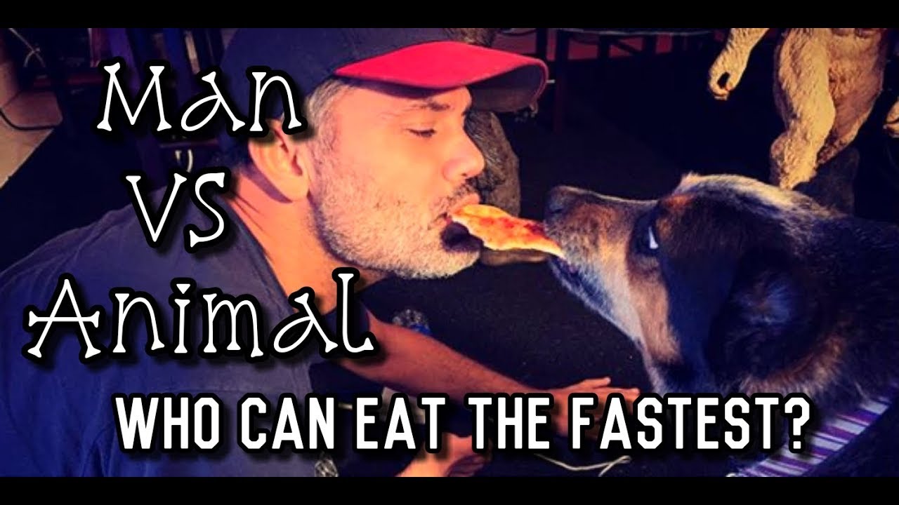 Man VS Animal - Who Can Eat The Fastest? (11-15-2019) - YouTube