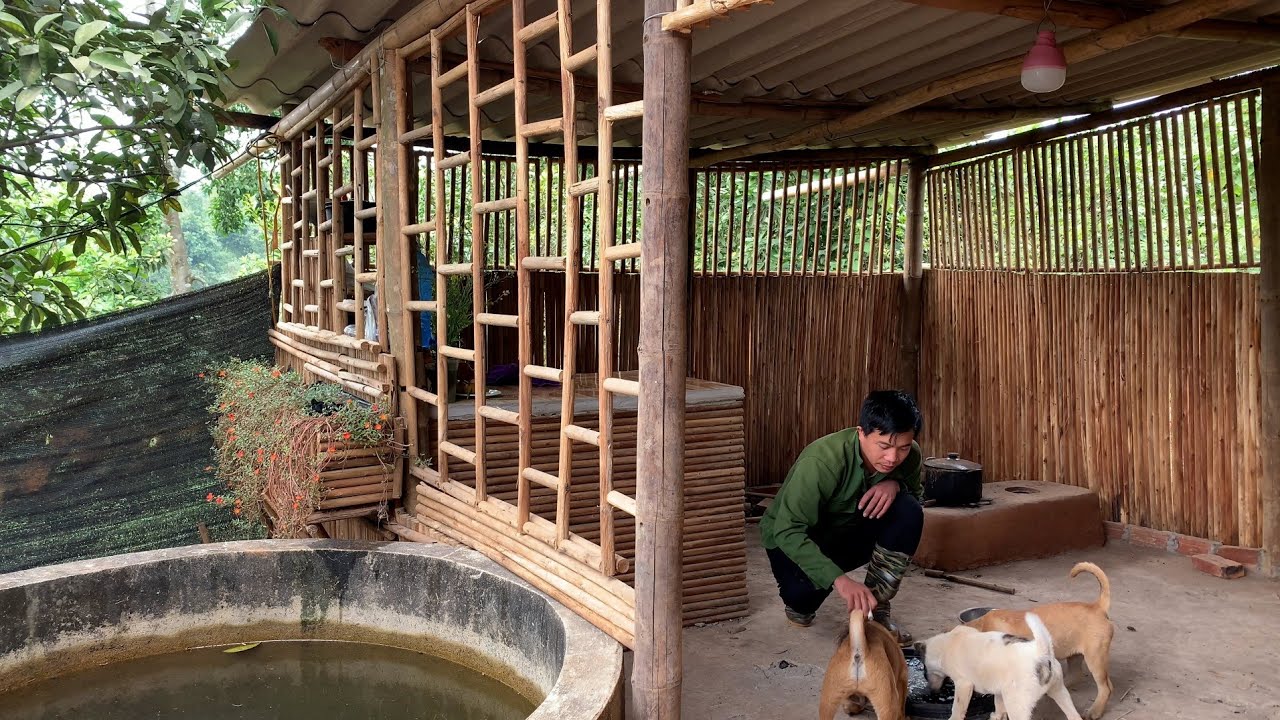 Build a farm life, happy to have 3 dogs and 25 chickens as friends,and ...