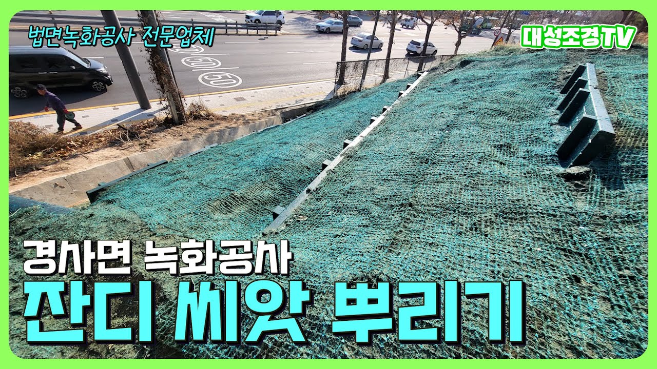 잔디씨앗뿌리기 잔디씨앗파종 씨앗파종 씨앗뿌리기 경사면잔디뿌리기 전국 법면녹화공사 전문업체 대성조경 Youtube