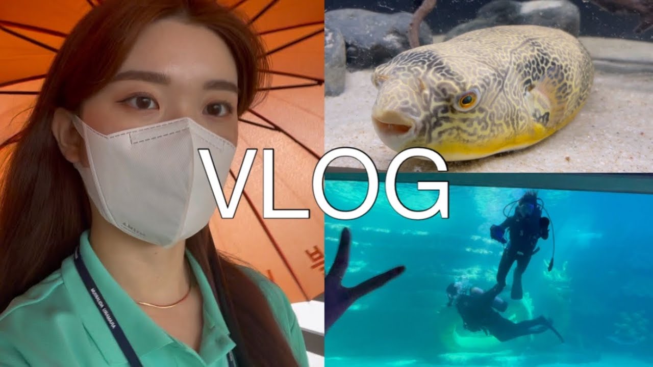 Vlog 출근 브이로그 직장인 브이로그 아쿠아리움 브이로그 삼천포 브이로그 아라마루 아쿠아리움 직장인점심