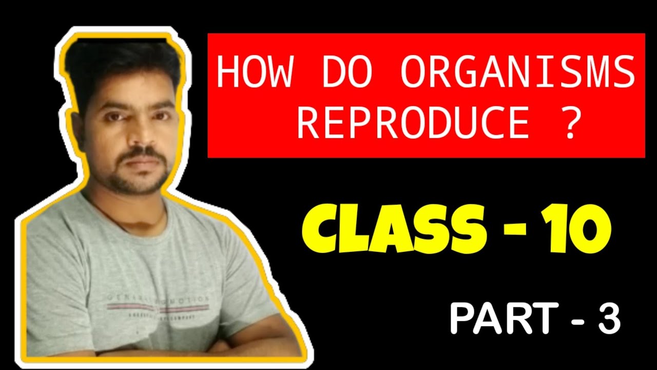 REPRODUCTION IN ANIMALS AND PLANTS ll CBCS CLASS 10 ll UTTAM CLASSES ll TENTH CLASS - YouTube