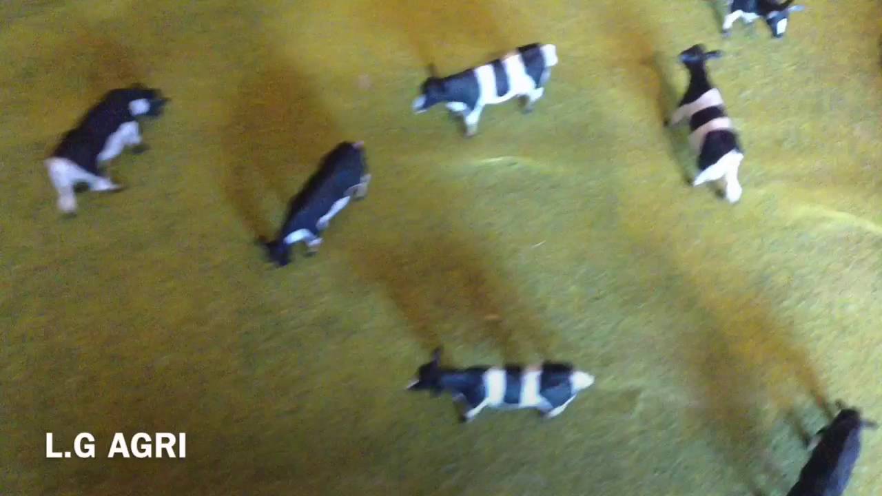 Wellbrook farm update 30/8/16 - YouTube