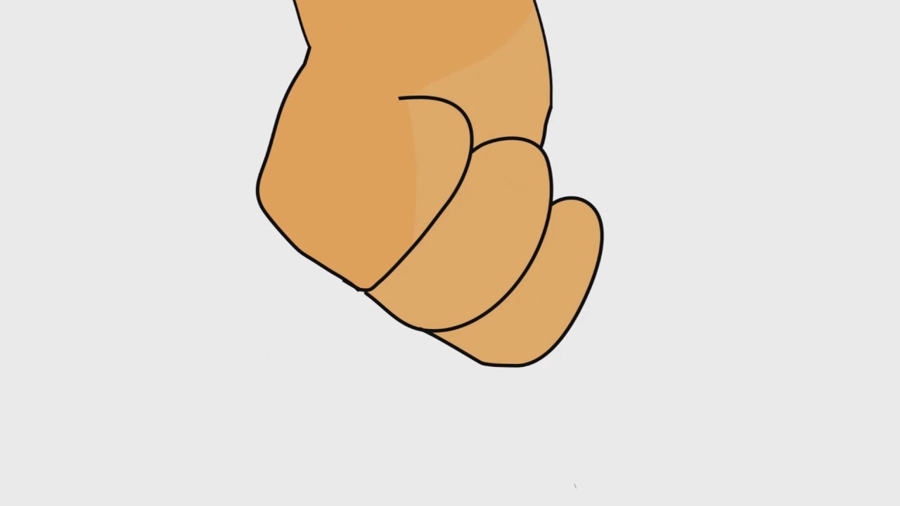 First Toon Boom Drawing Animation! - YouTube