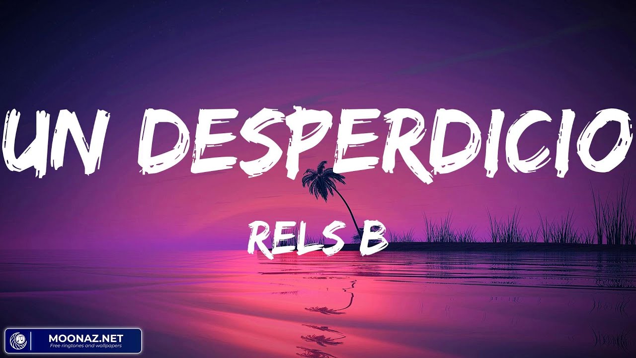 Rels B - Un Desperdicio / Video Letras - YouTube Music