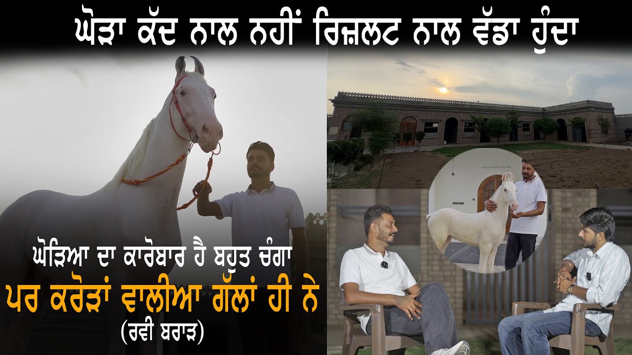 Brar Stud Farm | Ravi Brar | Bikram Randhawa | Saffran Te.Ep-40 ...