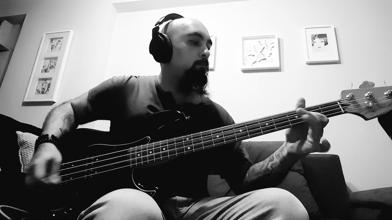 Tool Aenima Bass Cover Youtube