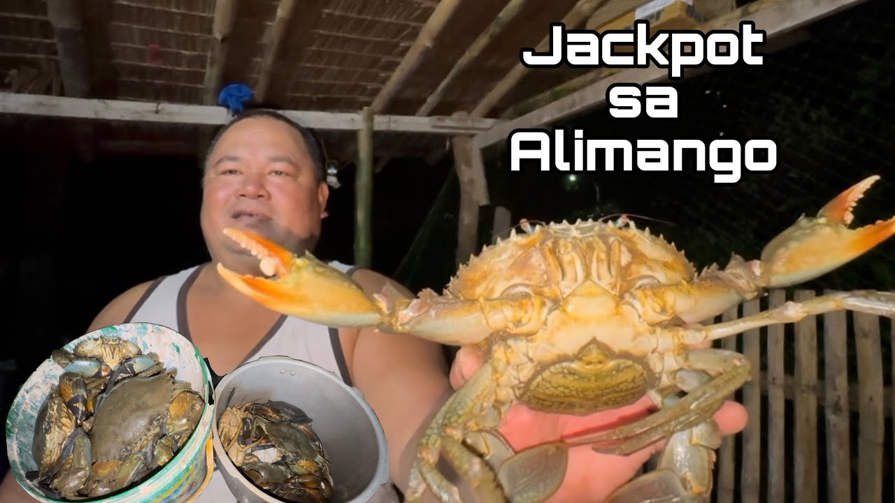 Maraming huling Alimango sa pamamandaw - YouTube