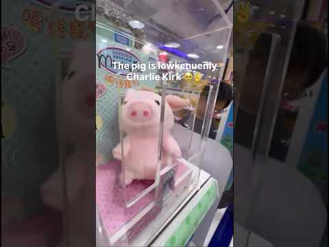The pig is lowkenuenly Charlie Kirk 🥹✌️