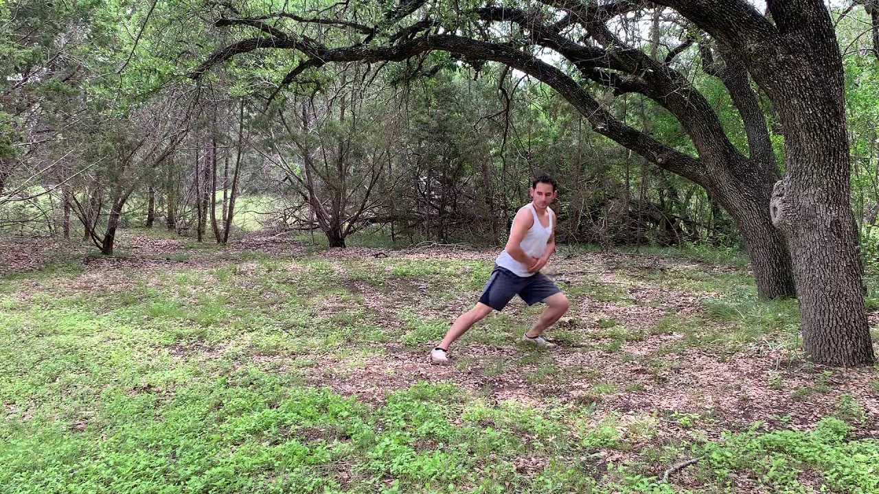 Snake Creeps Down. Lunging. Taijiquan Calendar Series. - YouTube