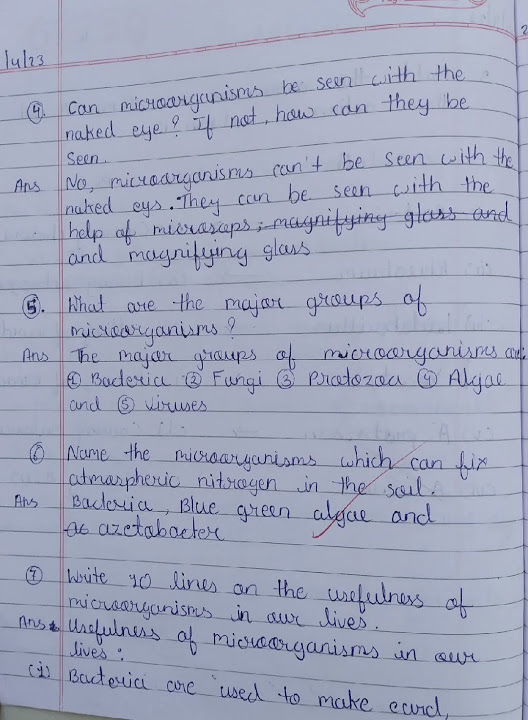 class 8 / science/ chapter 2 / solution - YouTube