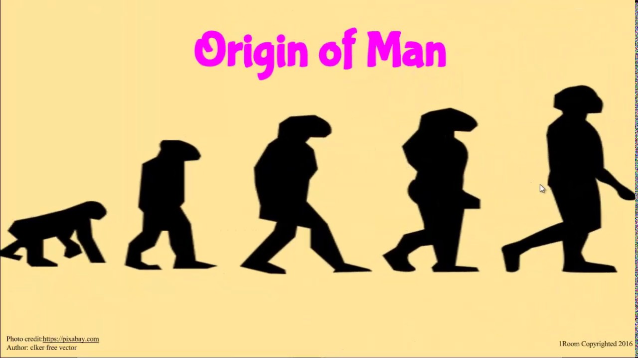 1Room Kenya KCSE History and Government Form 1 Lesson 3: Origin of Man ...