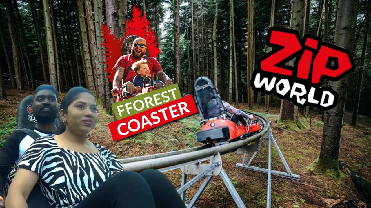 Thrilling Ride on ZipWorld Fforest Coaster! Adventure in the Welsh ...