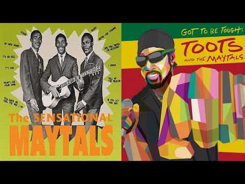 Toots and the Maytals Greatest Hits 🍓 Best Of Toots and the Maytals 🍓 ...