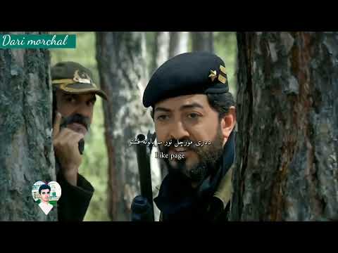 dari morchal poshto new song bajaweri