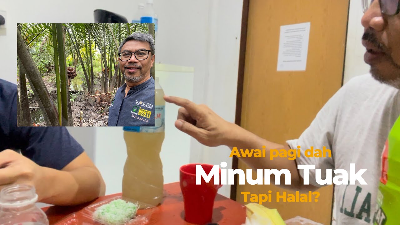 Awal pagi dah minum tuak tapi halal? - YouTube