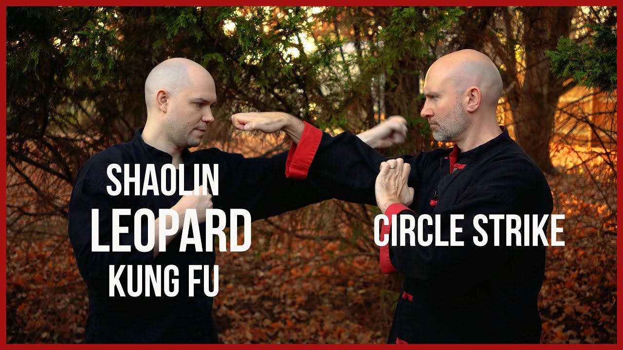 Shaolin Leopard Kung Fu - Circle & Strike 👊🏽🧘‍☯ #martialarts #kungfu # ...