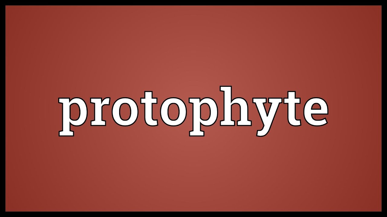 Protophyte Meaning - YouTube