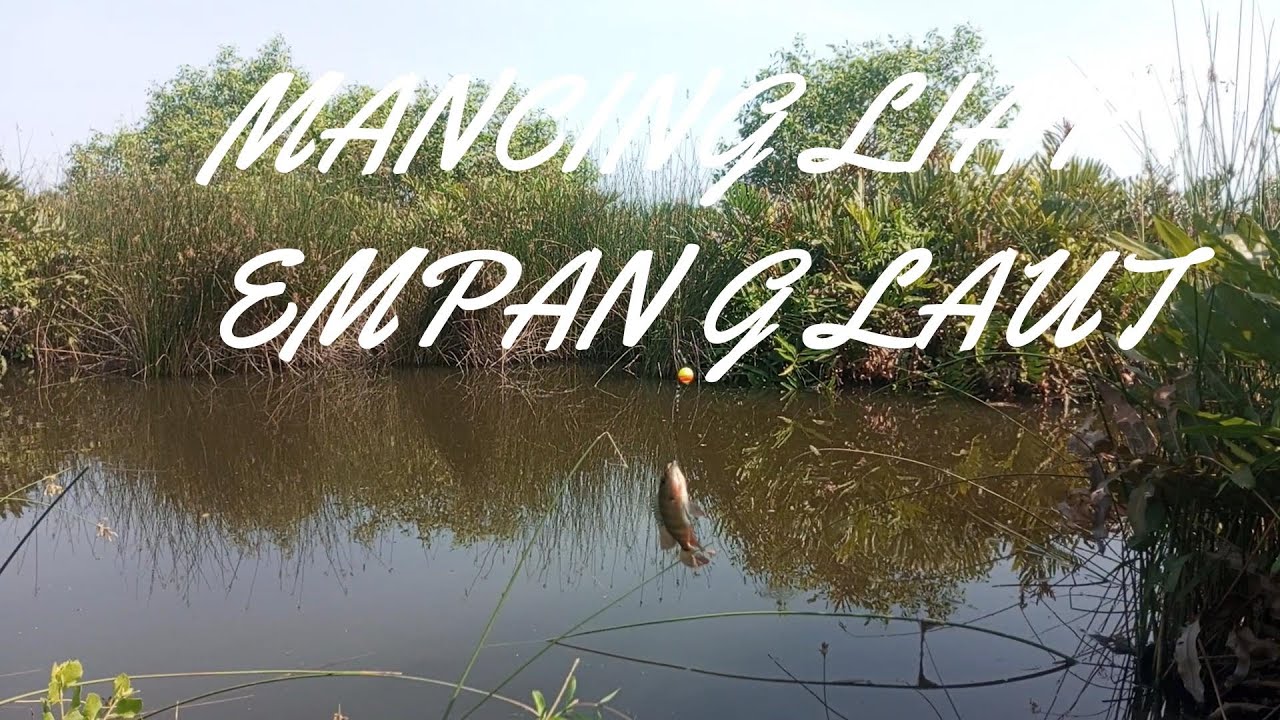 MANCING LIAR | EMPANG LAUT | SPOT BARU - YouTube