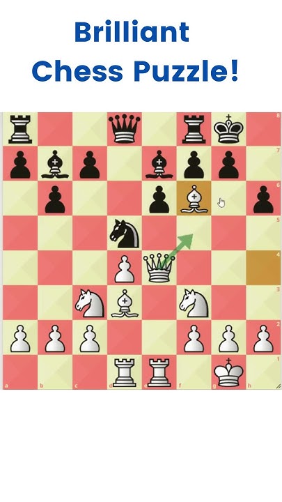 𝐒𝐡𝐨𝐜𝐤𝐢𝐧𝐠 𝐂𝐡𝐞𝐬𝐬 𝐏𝐮𝐳𝐳𝐥𝐞 𝐏𝐚𝐫𝐭 2! - YouTube