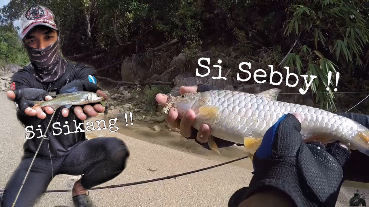 Lesen SIKANG dan SEBBY bukit || Komplot stream fishing mencari lesen ...