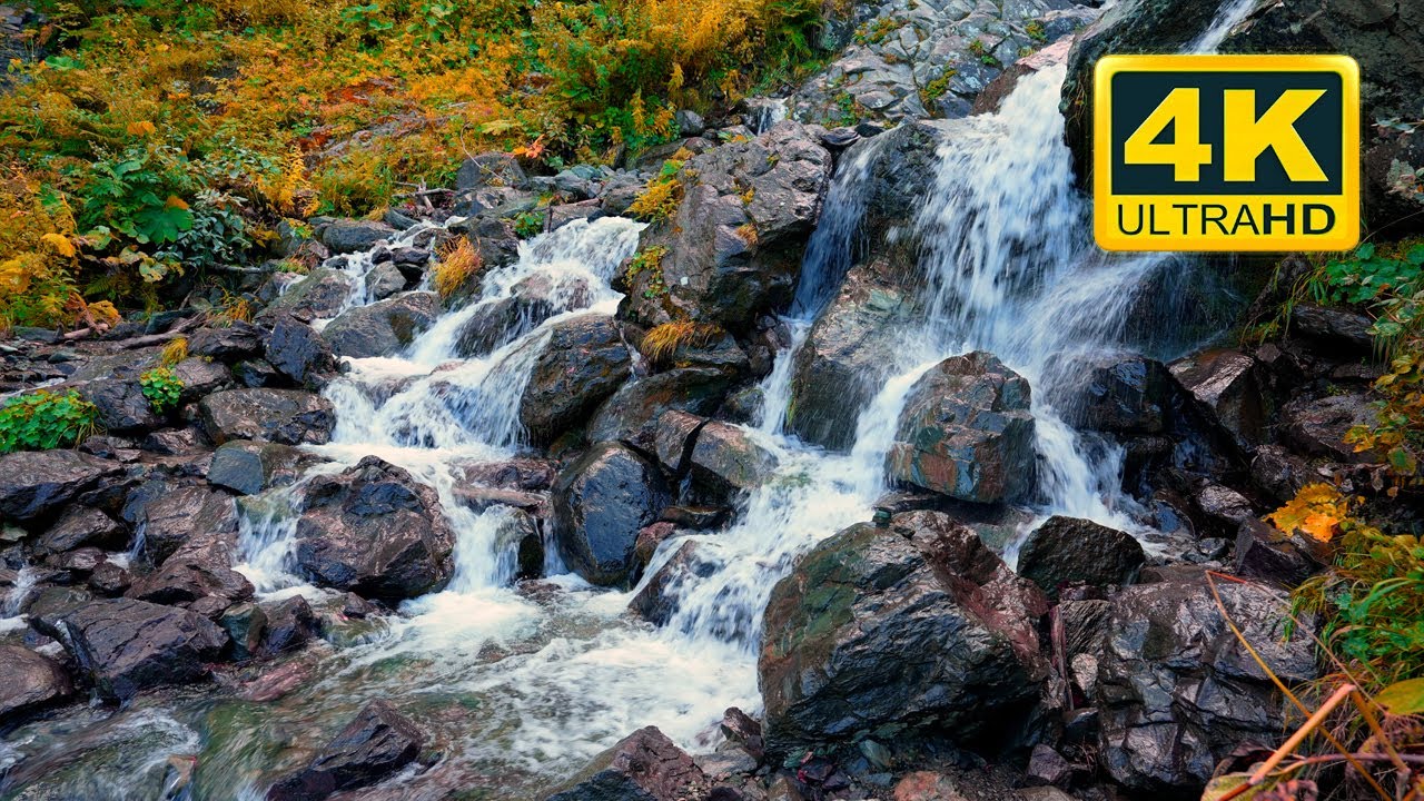🌲 Calming Forest Stream Sounds (12 HOURS). Mountain Stream Sound with ...