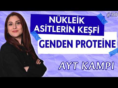 Nükleik Asitlerin Keşfi - Genden Proteine #30 - AYT 2026