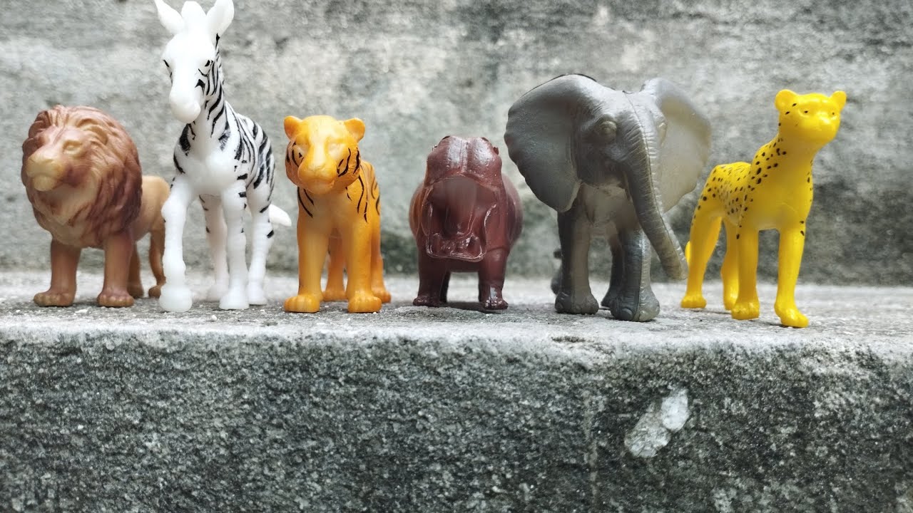 animals toys unboxing video. lion, zebra, tiger, hippopotamus elephant ...