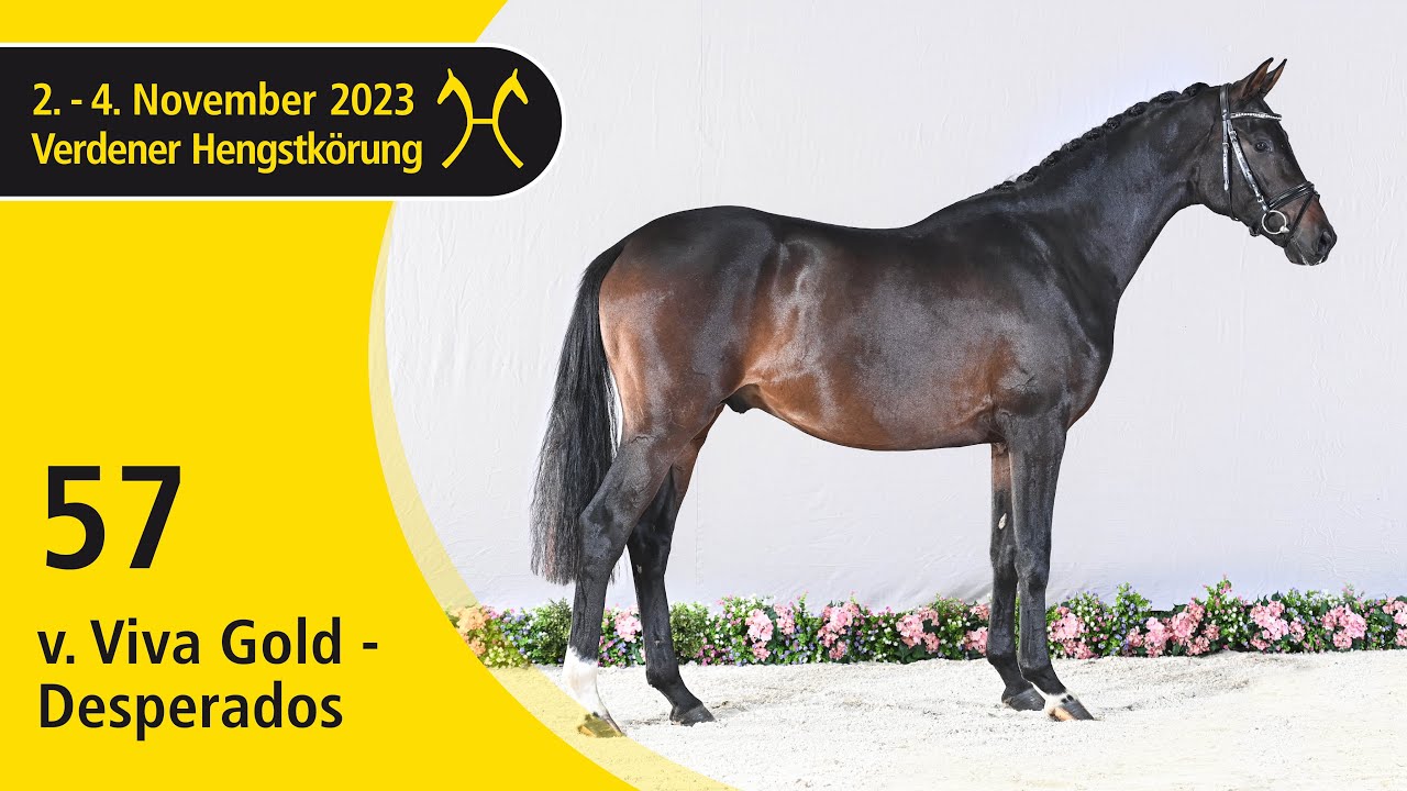 Verden Stallion Licensing 2023 - Dressage - Nov. 2-4 - No. 57 Stallion ...