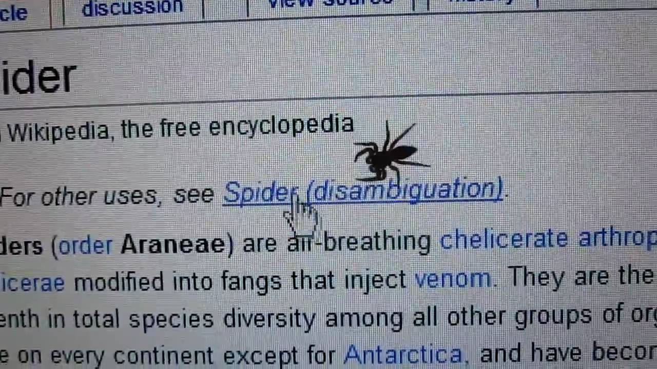 Spider Chasing Mouse Cursor - YouTube