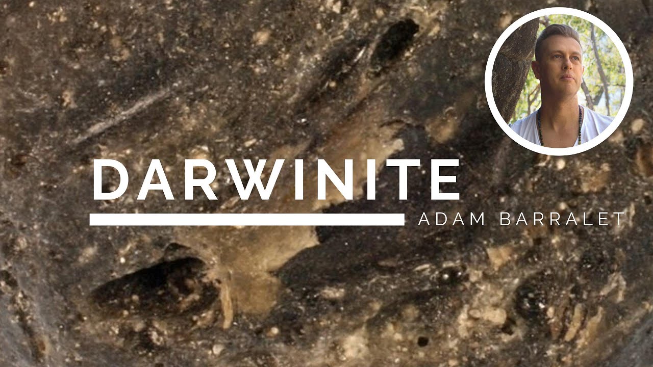 Darwinite - The Tektite of Gaia's Grounding - YouTube