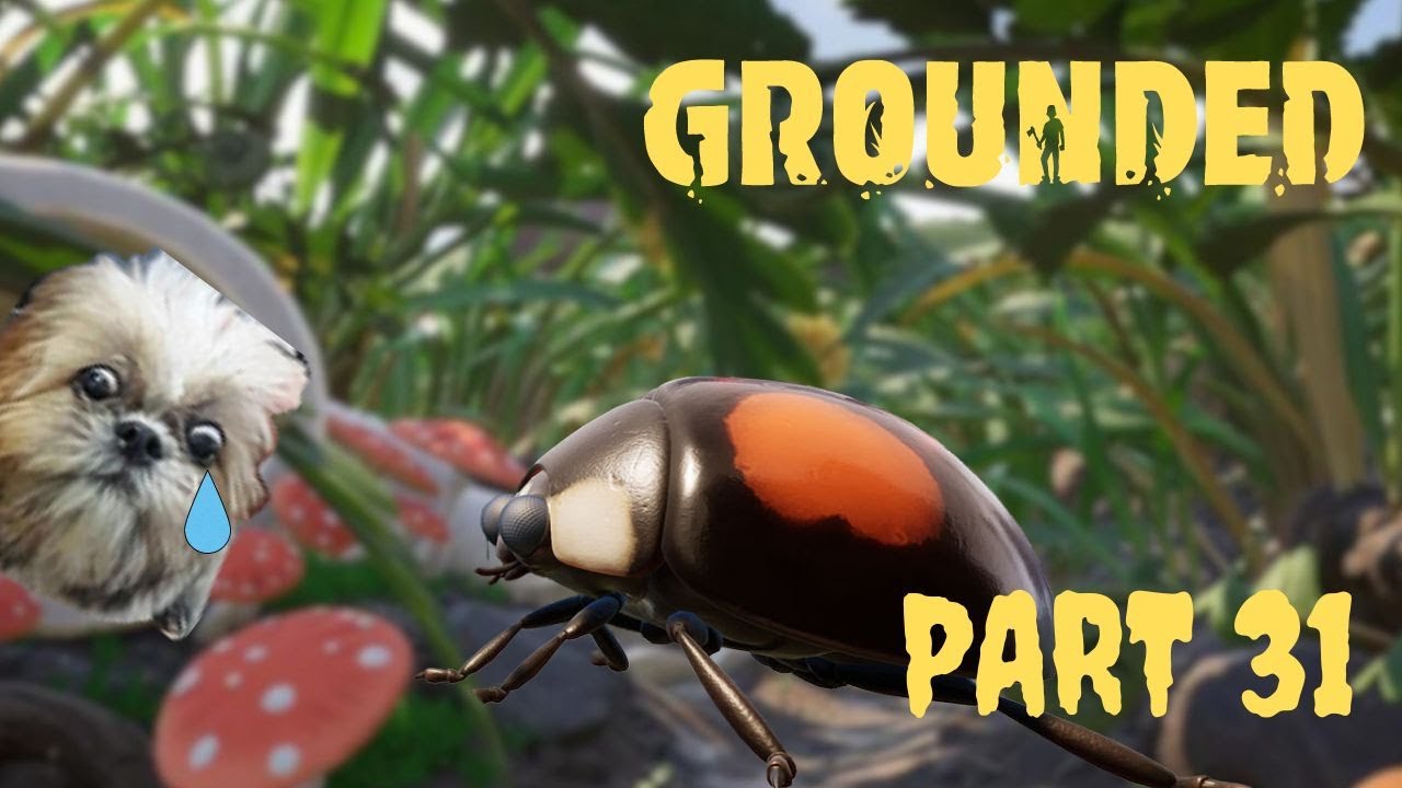 The Ladybirds are being mean to us! - Grounded part 31 - YouTube
