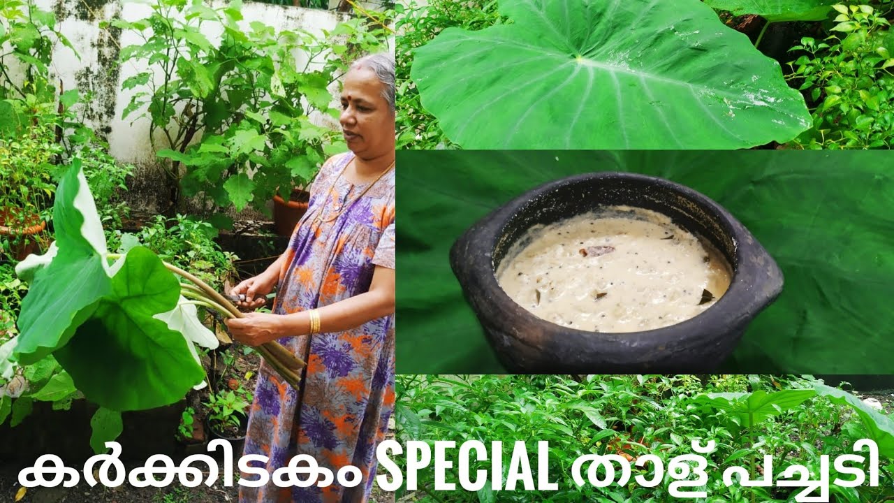 Chembu Thalu curry||ChembinThaalu pachadi||KARKKIDAKAM SPECIAL RECIPE ...