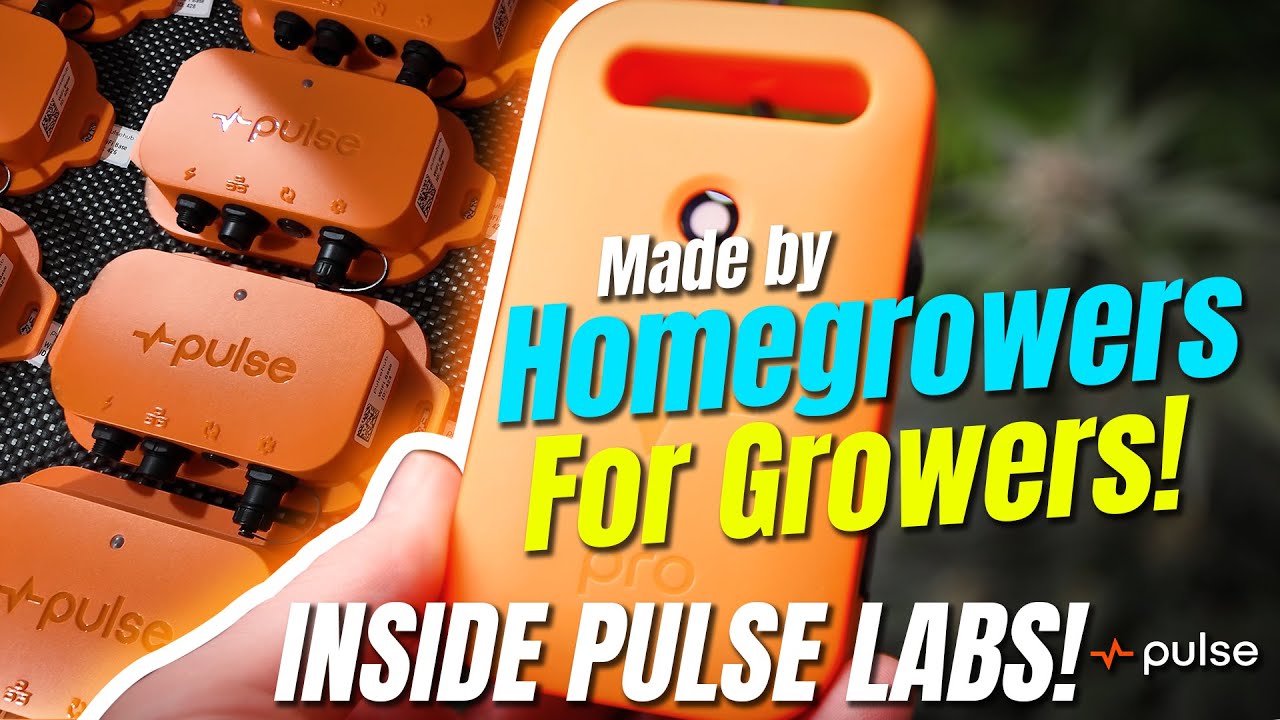 Designed by Homegrowers For Growers - Inside Pulse Labs - YouTube