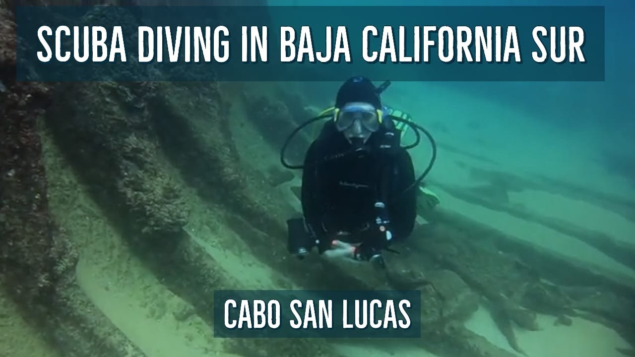 Scuba Diving in Baja California - YouTube