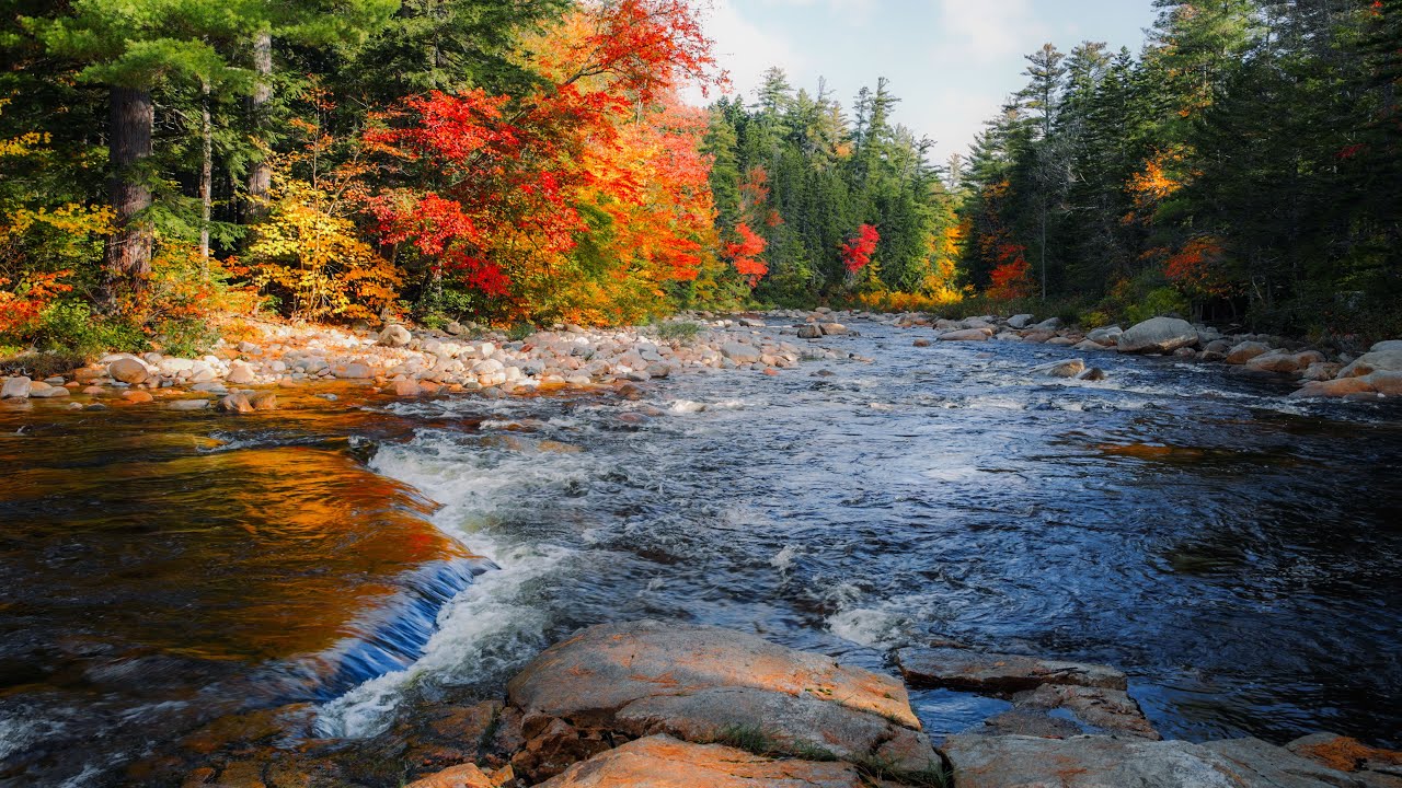 Peaceful Autumn River (4K) - River Sounds | Relaxing Nature Video ...