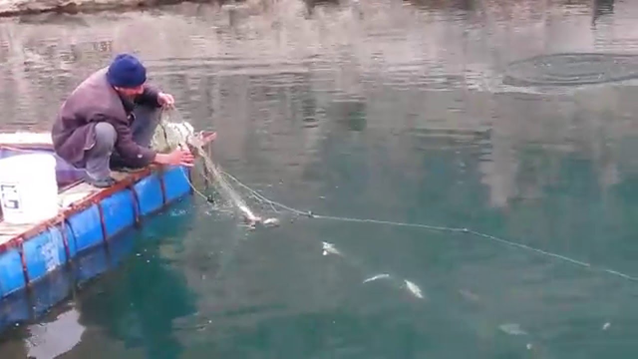 BIG MAN CATCHES BIG FISH - YouTube