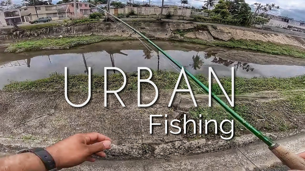 Pescando en zona Urbana y Sorteo Urban Fishing & Giveaway!!! - YouTube