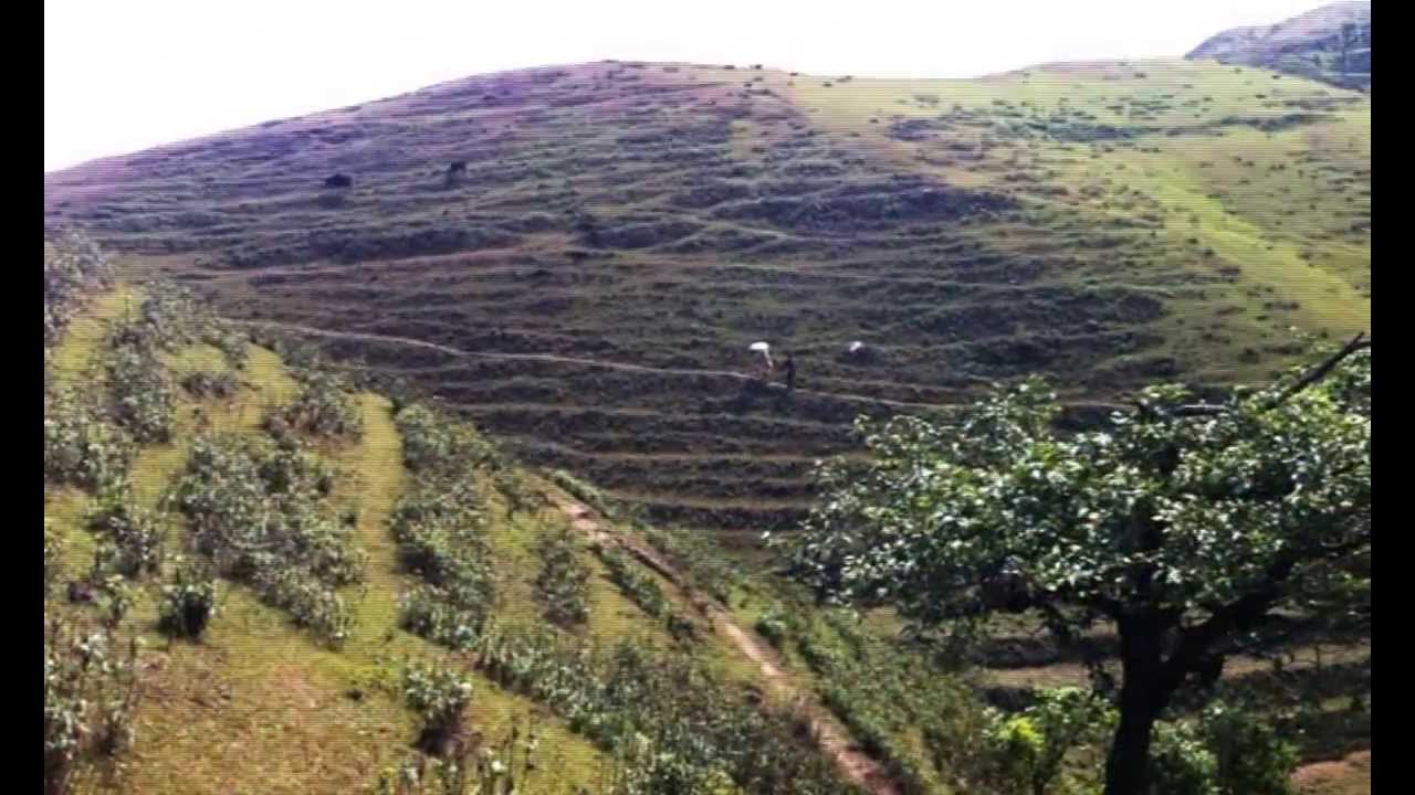 Ghoretar Mahotsab - YouTube