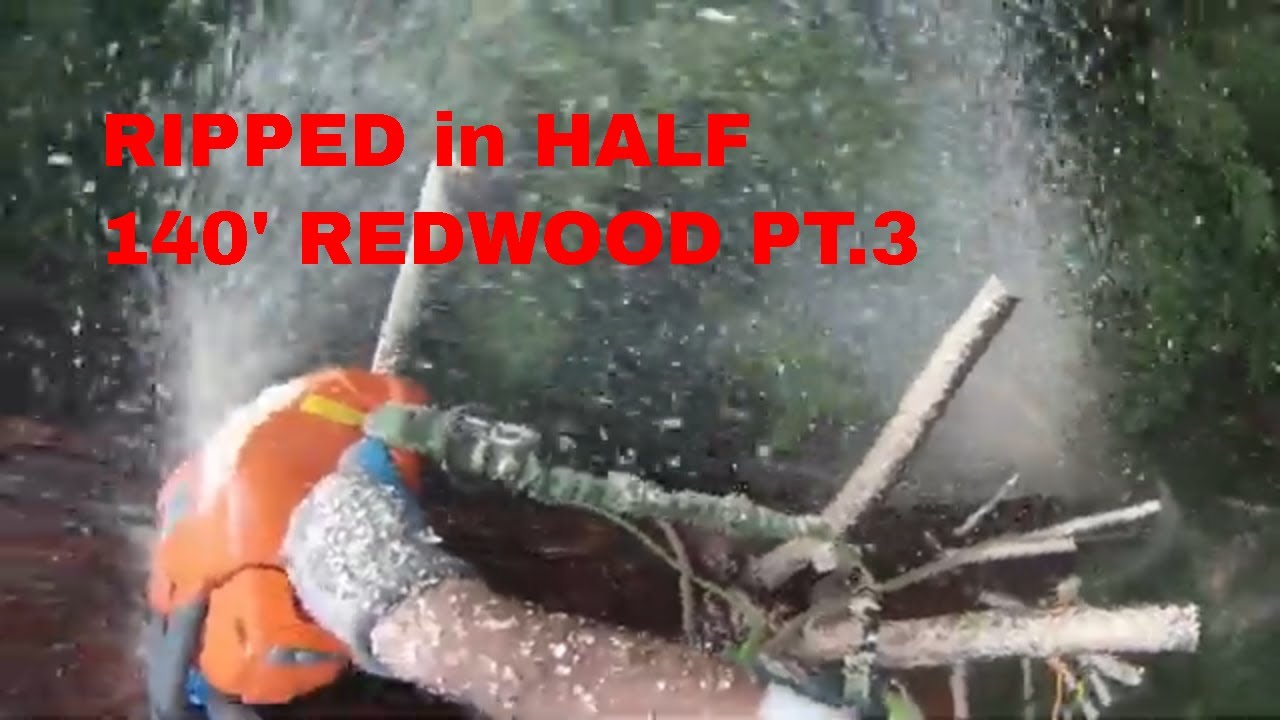 Pt.3 STORM DAMAGE REDWOOD REMOVAL - YouTube
