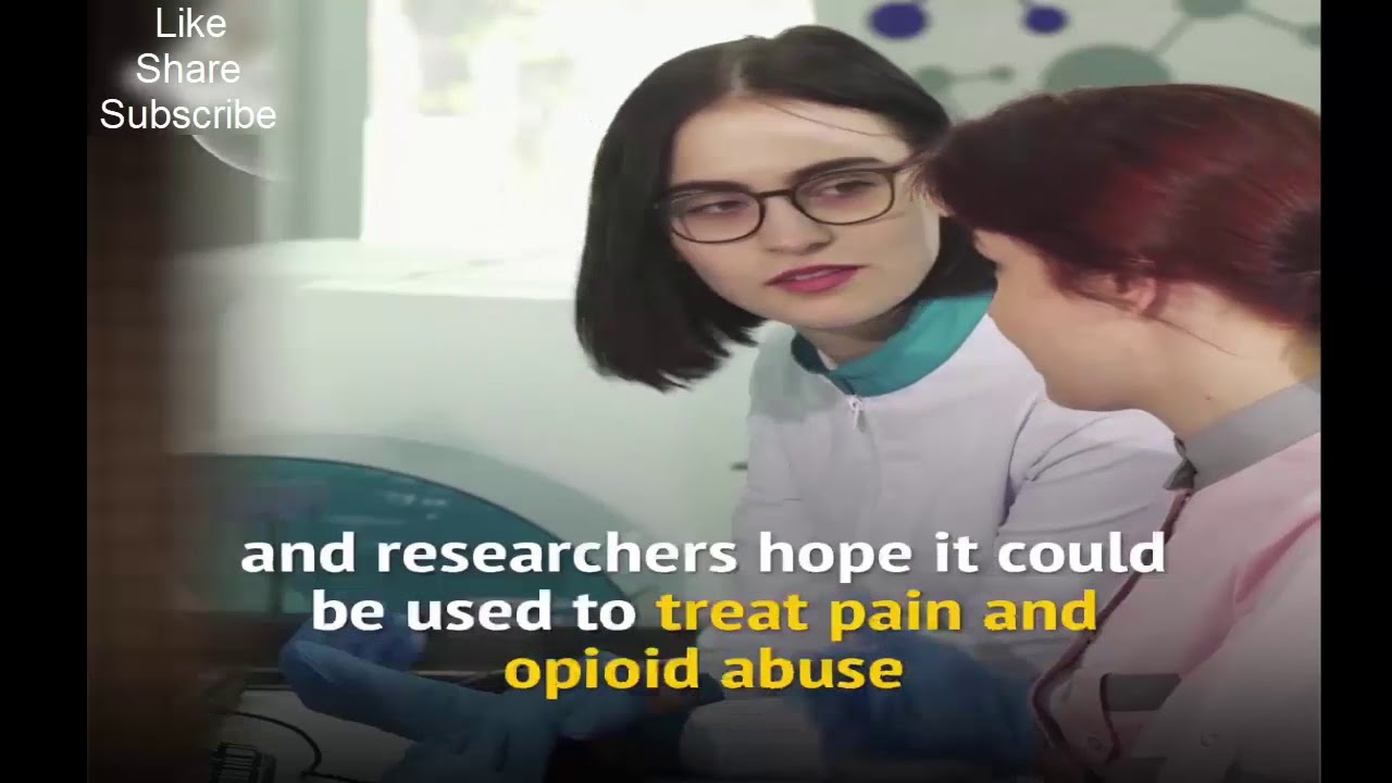 New Non Addictive Painkiller is Stronger than Morphine - YouTube