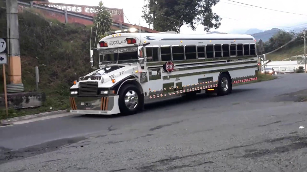 [El Papá de los Helados] Transporte Papo Alvy, Inc. | [VISION 1st Gen ...