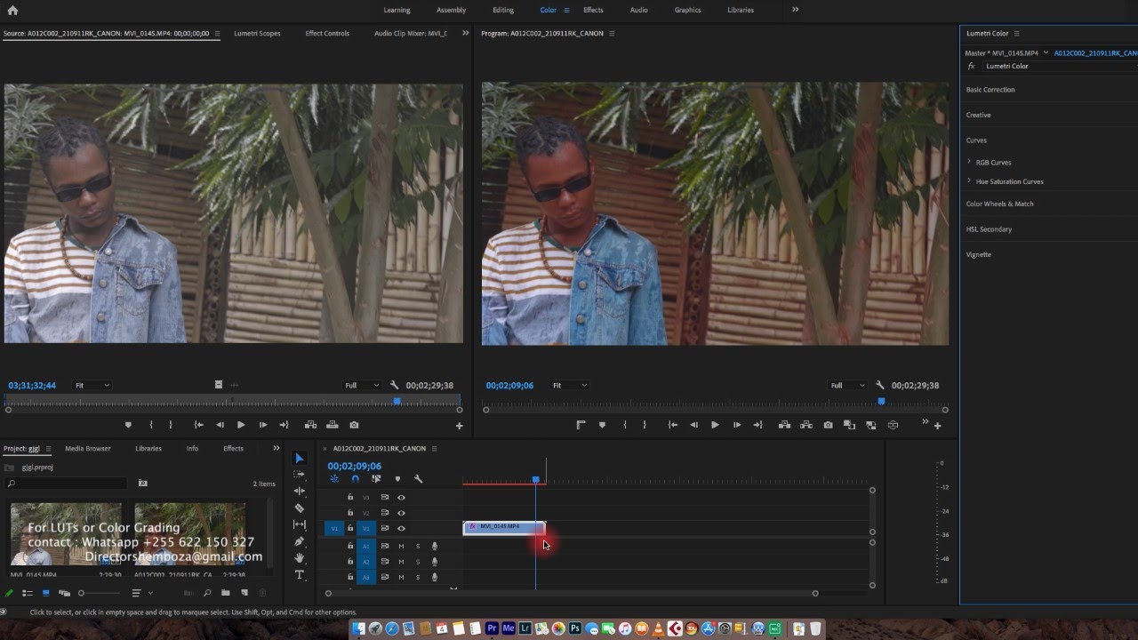 Best and Soft Color Grading Music Video in Premiere Pro cc 2022 - YouTube
