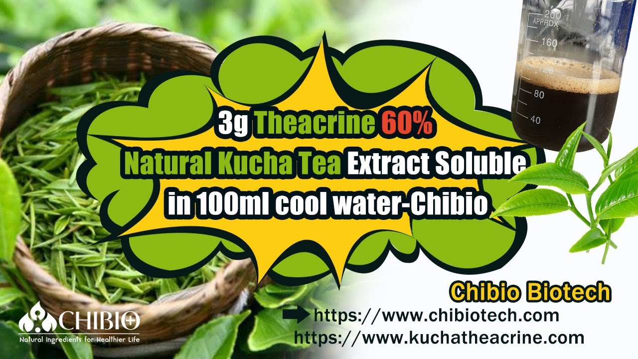 3g Theacrine 60% Natural Kucha Tea Extract Soluble in 100ml cool water ...