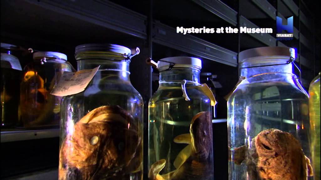 Viasat History - Mysteries at the Museum - promo - YouTube