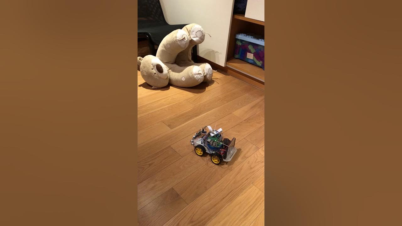Image Classifier robot car using Raspberry Pi with DeepLearning ...