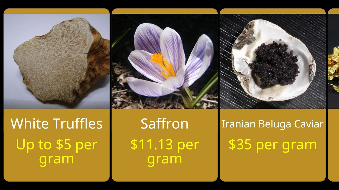 Price Comparison Most Expensive Substance 2023 - YouTube