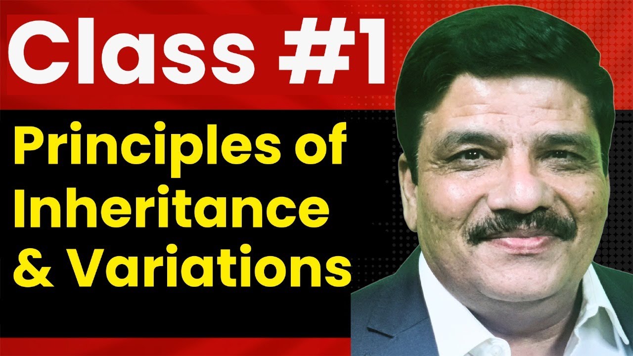 Basics Of Genetics Principle Of Inheritance And Variation Class 1 3281