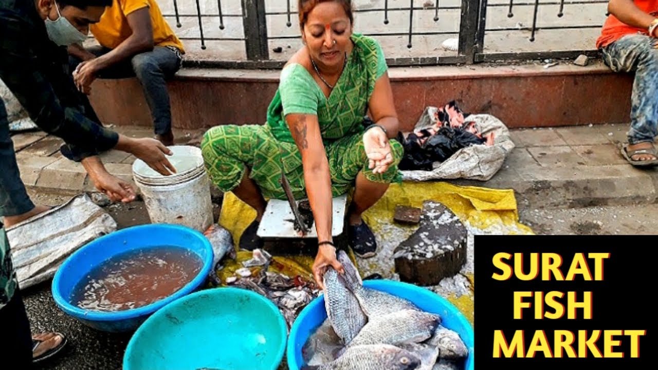 फिश मार्केट सूरत | Nanpura Fish Market Surat | Indian Fish Market ...