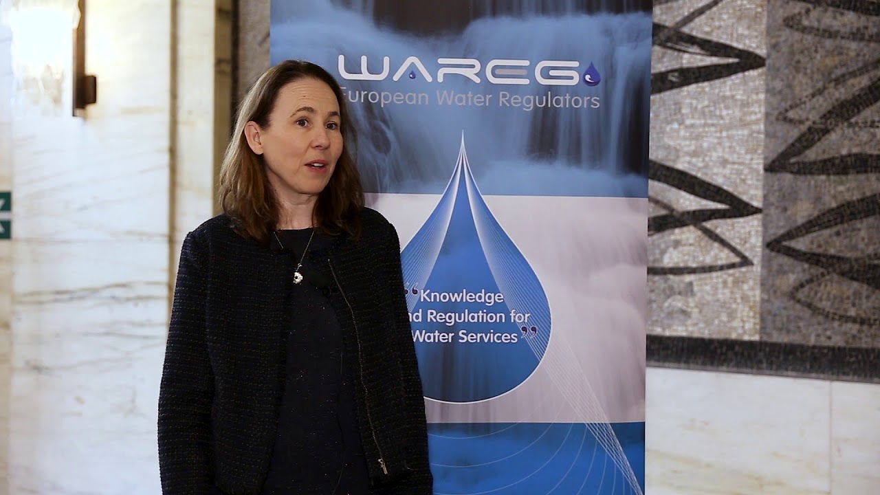 Laura Brien - Director, CRU, Ireland - YouTube