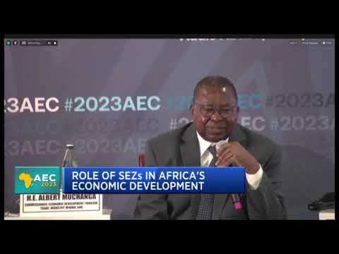 African Economic Conference 2023: Role of SEZs in Africa’s economic development - CNBC Africa